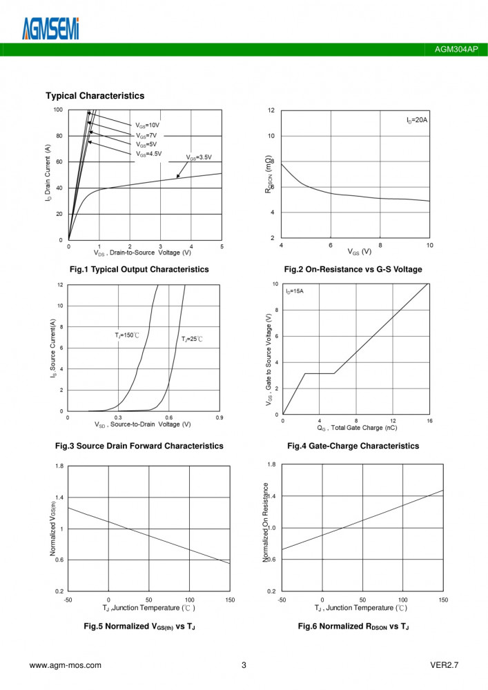 AGM304AP datasheet page 3