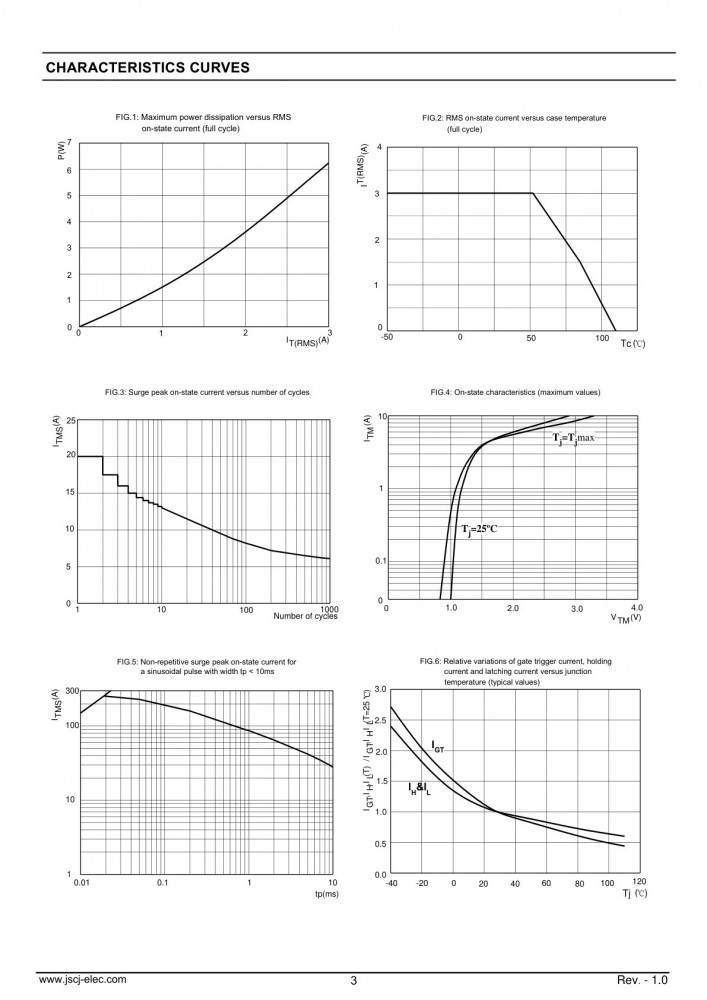 CS030E datasheet page 3