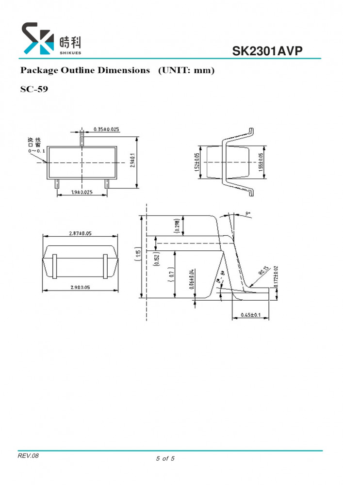 SK2301AVP datasheet page 5