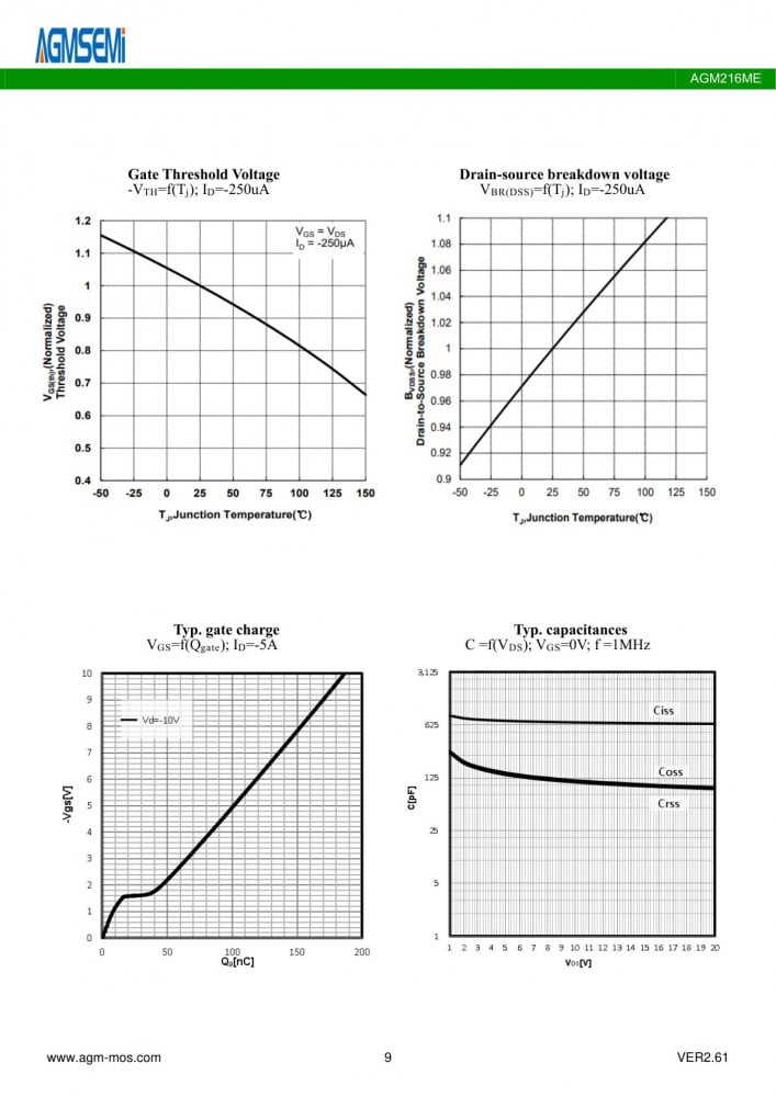 AGM216ME datasheet page 9