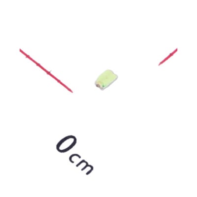 Amicc A-SP192GB1D-C09-4T Discrete LED Indication Chip