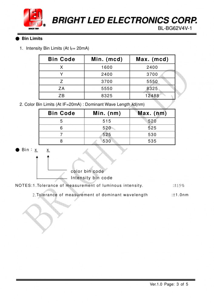 BL-BG62V4V-1 datasheet page 3