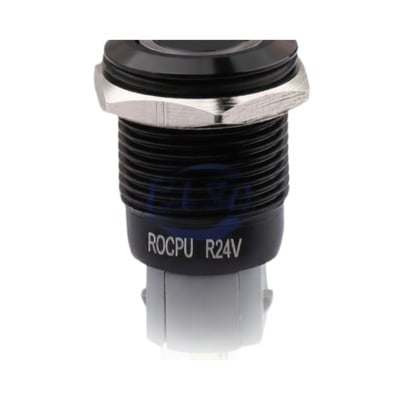 ROCPU Switches TP91609P124RA Pushbutton Switch
