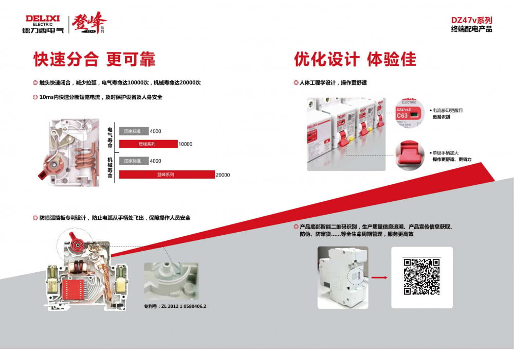Delixi DZ47v catalogue page 8
