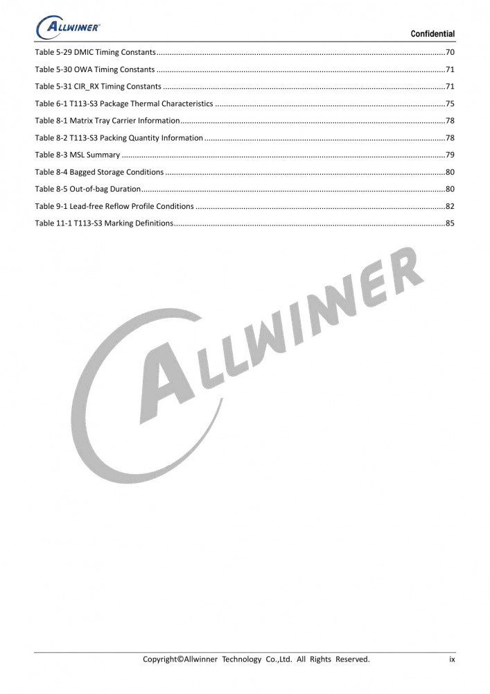 T113-S3 datasheet page 10