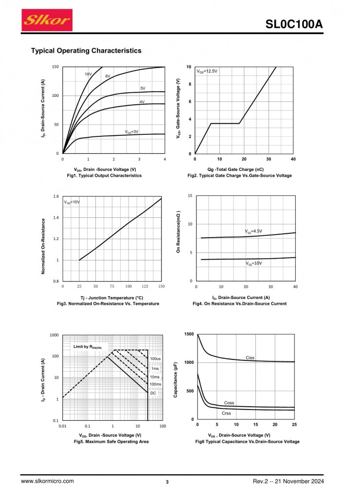 SL0C100A datasheet page 3