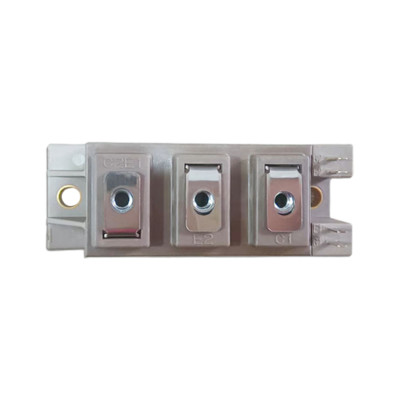 Fuji Electric 2MBI150VH-170-50
