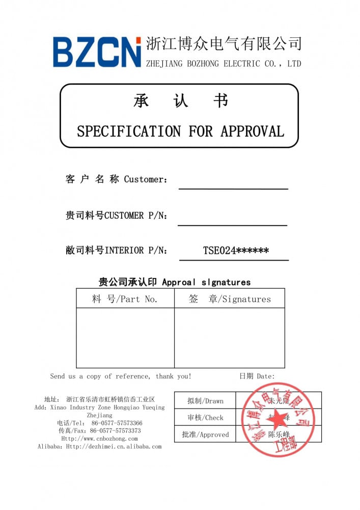 BZCN TSE024A3118A specification page 1
