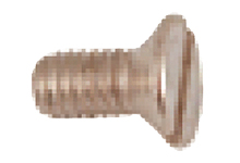 Heavy-Duty Stainless Steel Screw, M6x40 Thread