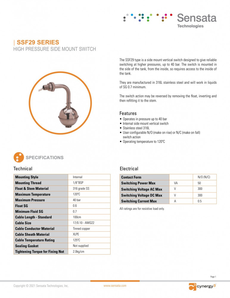 SSF29X100 technical document page 1