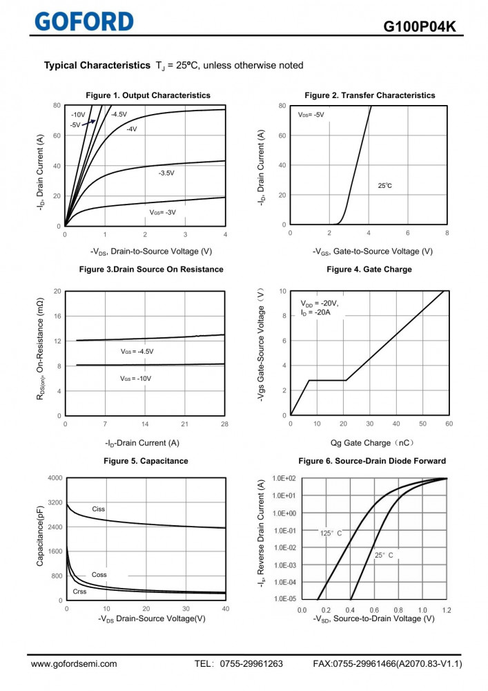 G100P04K datasheet page 4