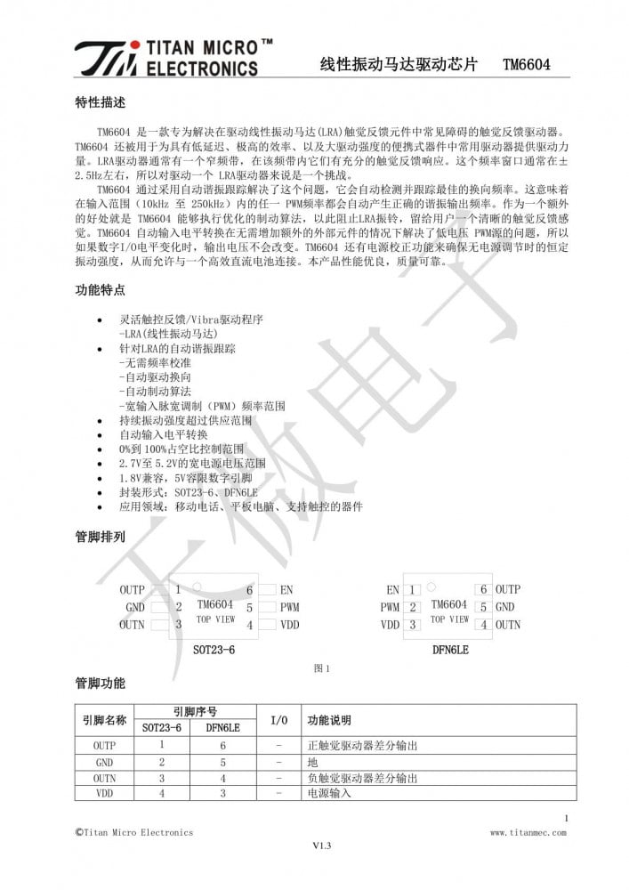 TM6604 datasheet page 1
