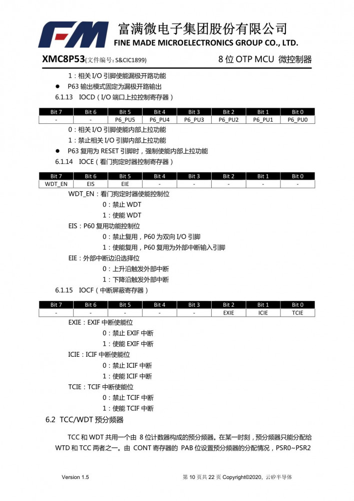 XMC8P53S8 datasheet page 10