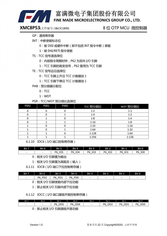 XMC8P53S8 datasheet page 9