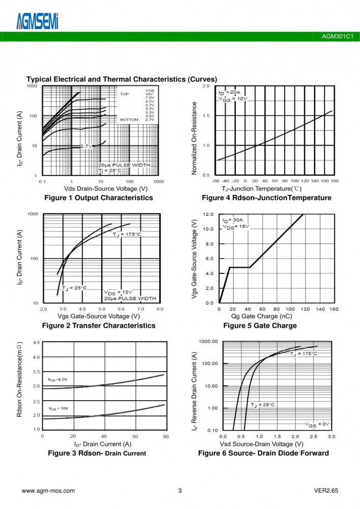 AGM301C1 datasheet page 3