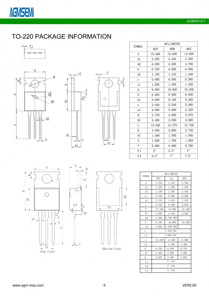 AGM301C1 datasheet page 5