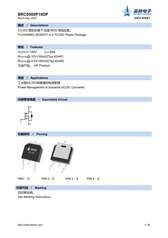 BRCS500P10DP datasheet page 1
