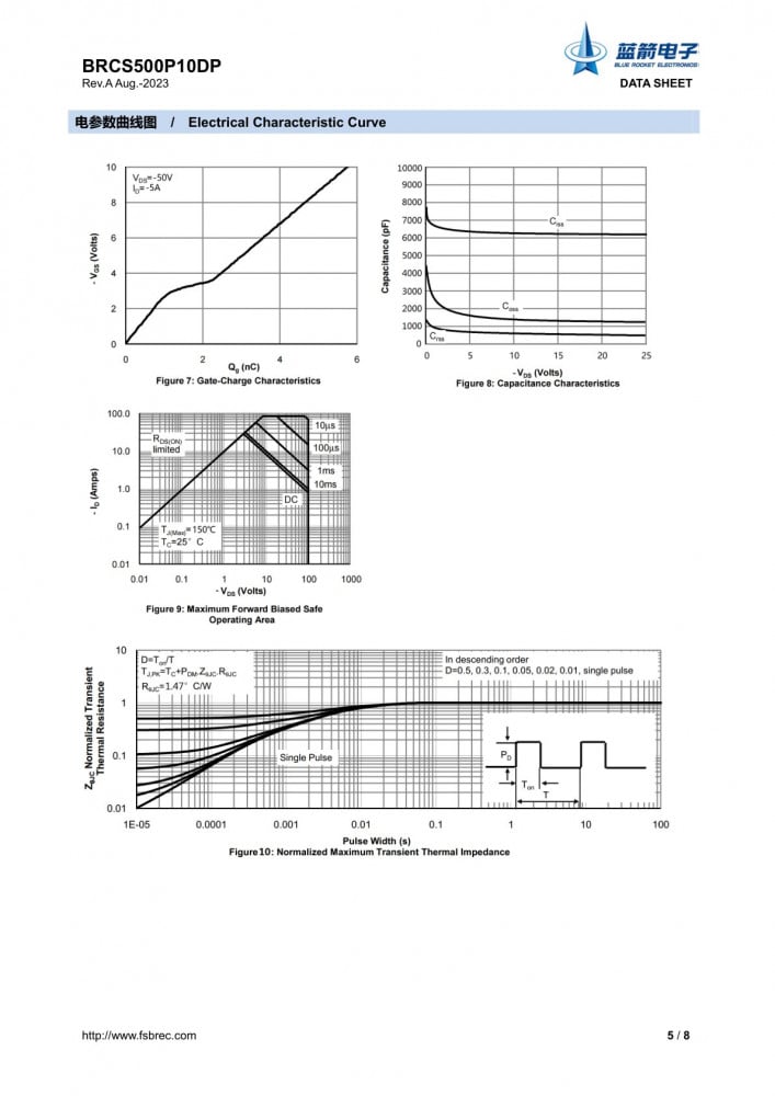BRCS500P10DP datasheet page 5