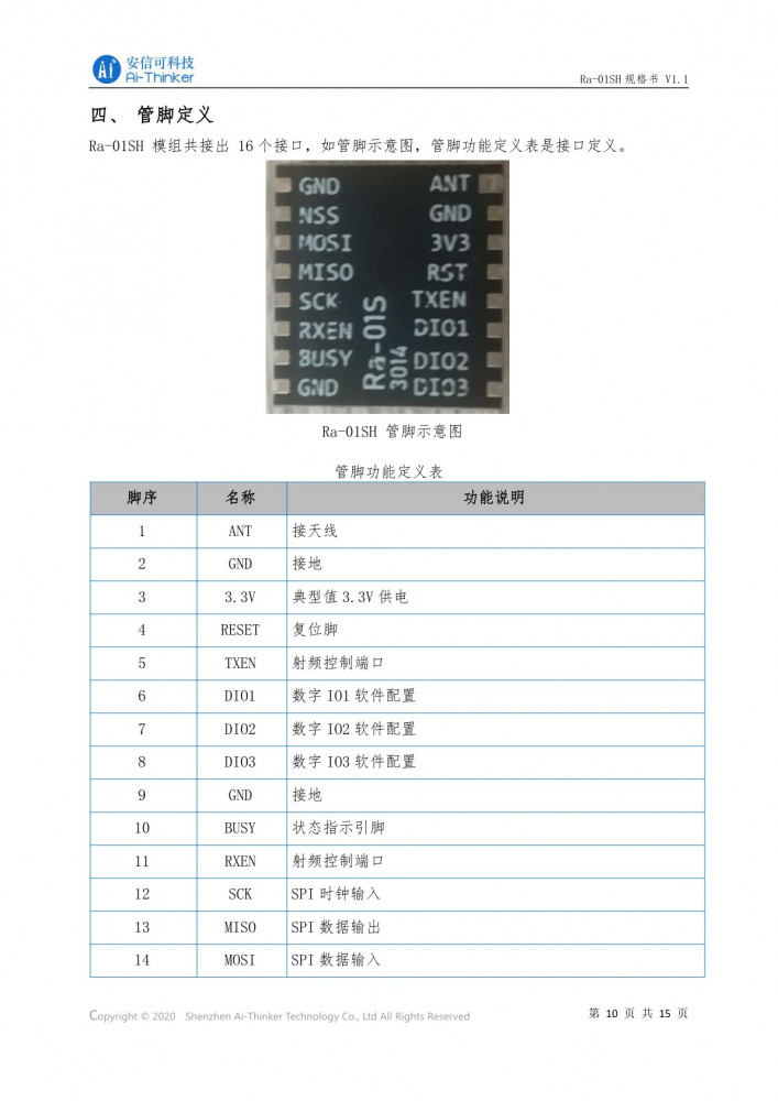 Ra-01SH-T technical document page 10