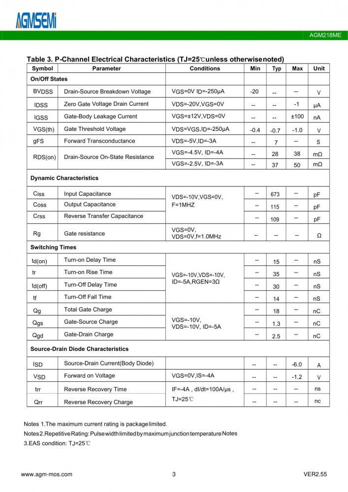 AGM218ME datasheet page 3