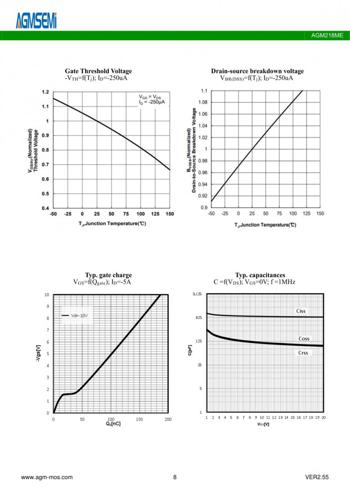 AGM218ME datasheet page 8