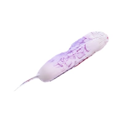 SETsafe | SETfuse C2