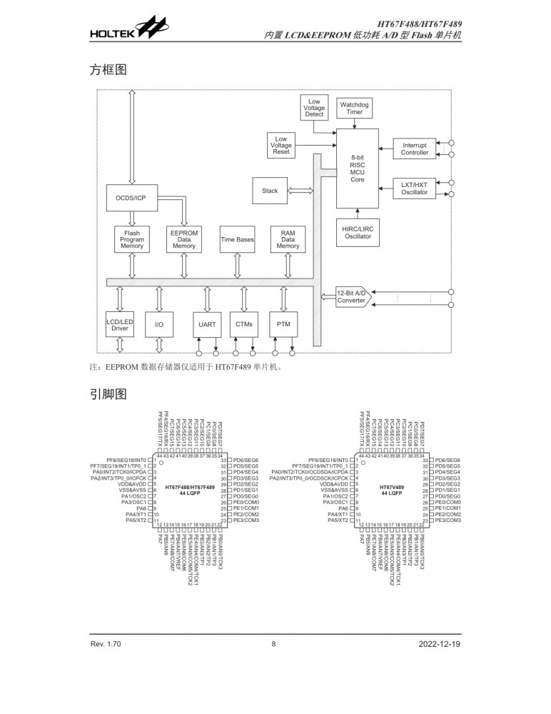 HT67F489 datasheet page 8