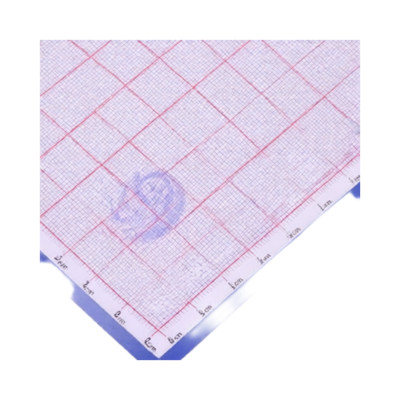 Hongda 31TC4A250V 250V Fuse Chip