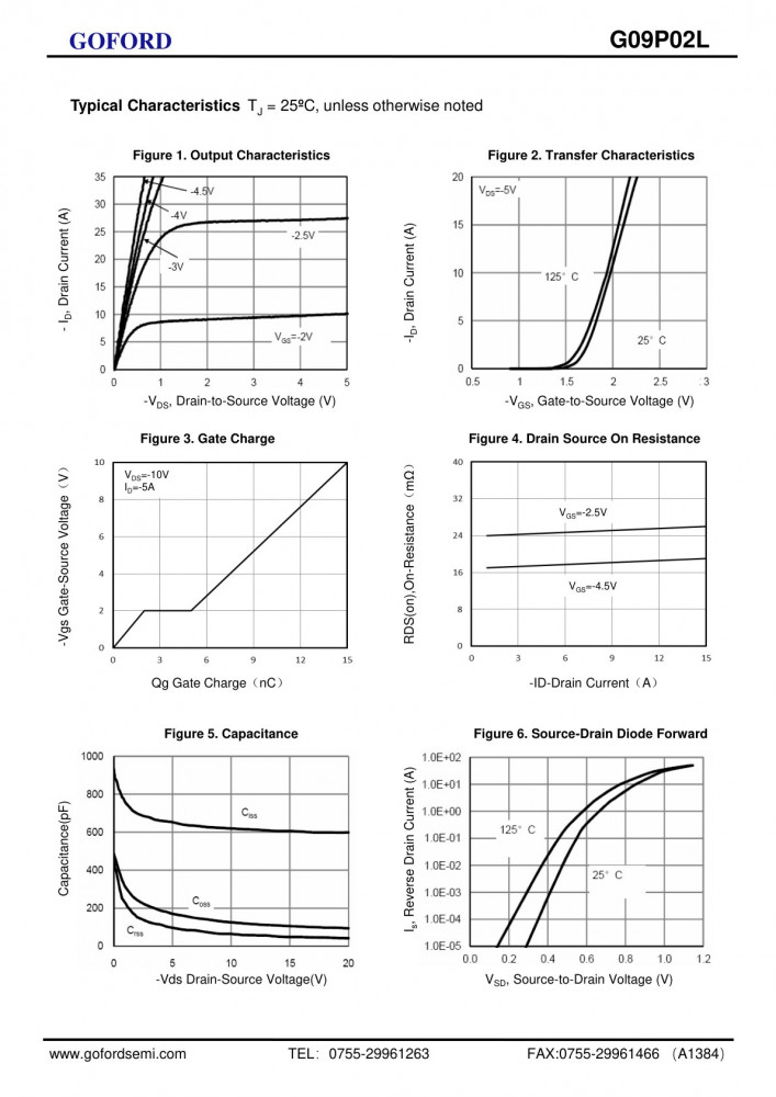G09P02L datasheet page 4