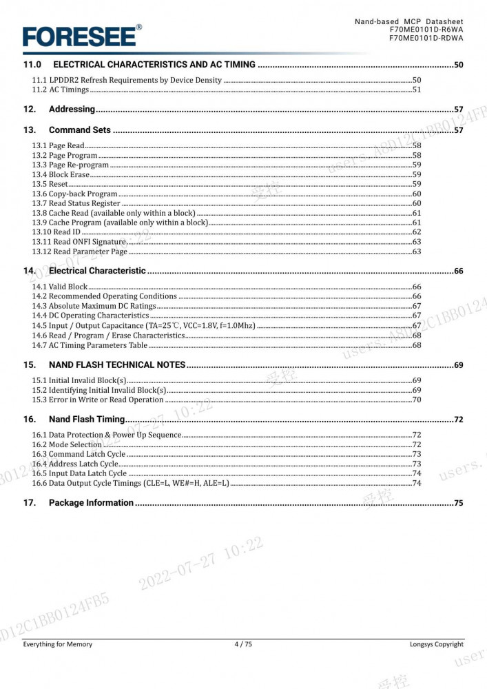 FORESEE datasheet page 4