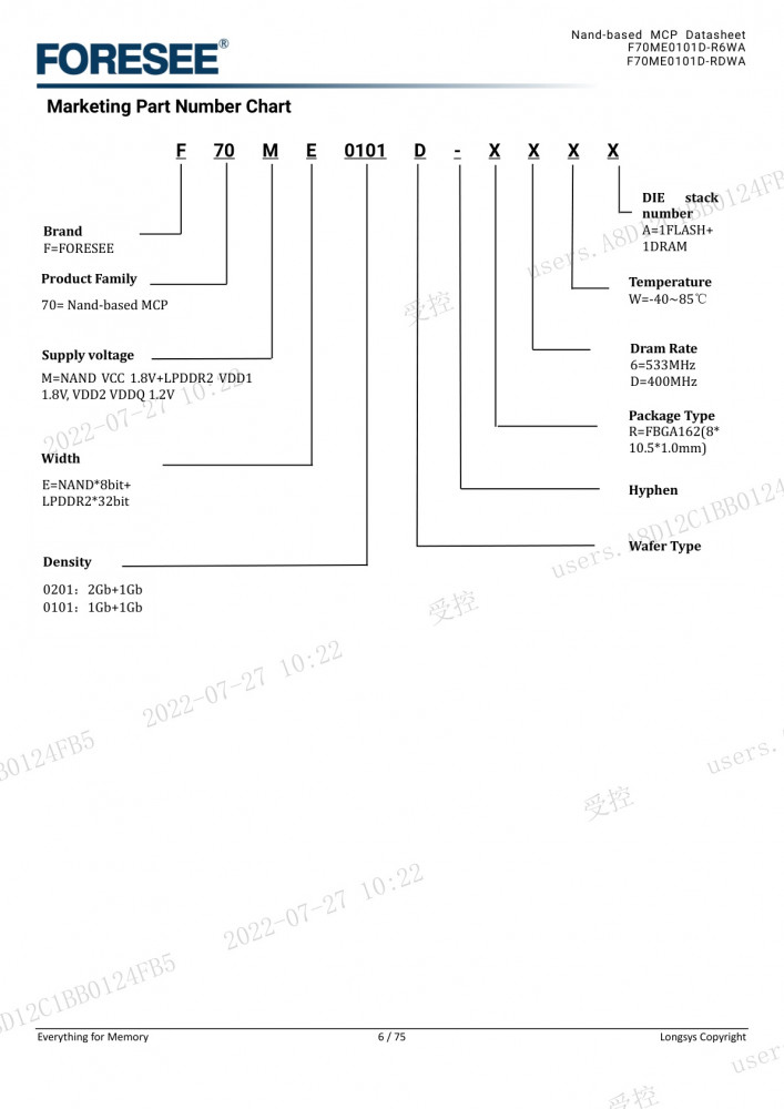 FORESEE datasheet page 6