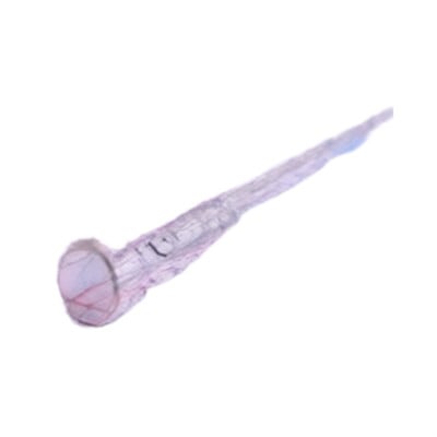 KDS 1TC125AFNS027 Crystal