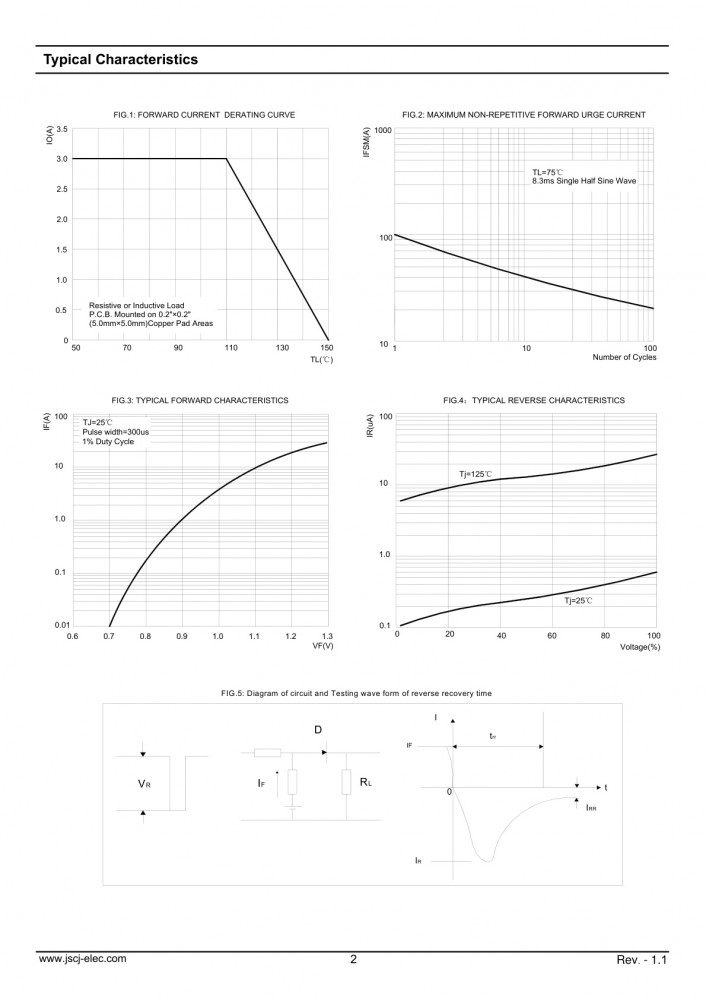 JSCJ RS3G datasheet page 2
