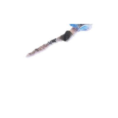 JingYang P0300SCX TVS Diode