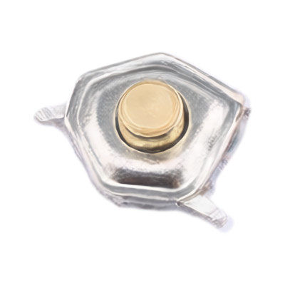HMTCONN TS60110-411-01628 Tactile Switch Chip