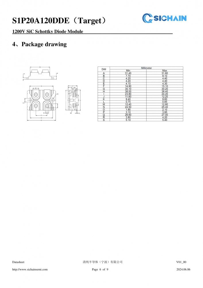 S1P20A120DDE datasheet page 6