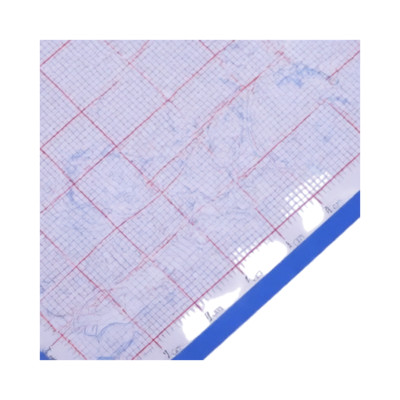 HOLLY 06T-010L1 Fuse