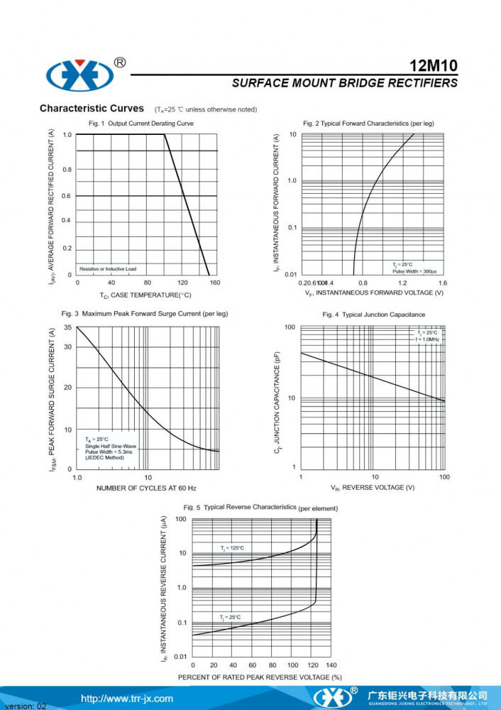 JUXING 12M10 datasheet page 2