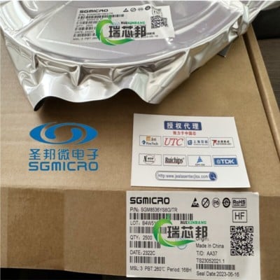 SGMICRO SGM4863YPTS16/TR Audio Amplifier Chip