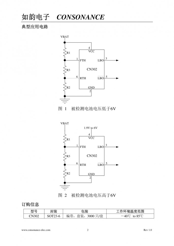 CN302 datasheet page 2