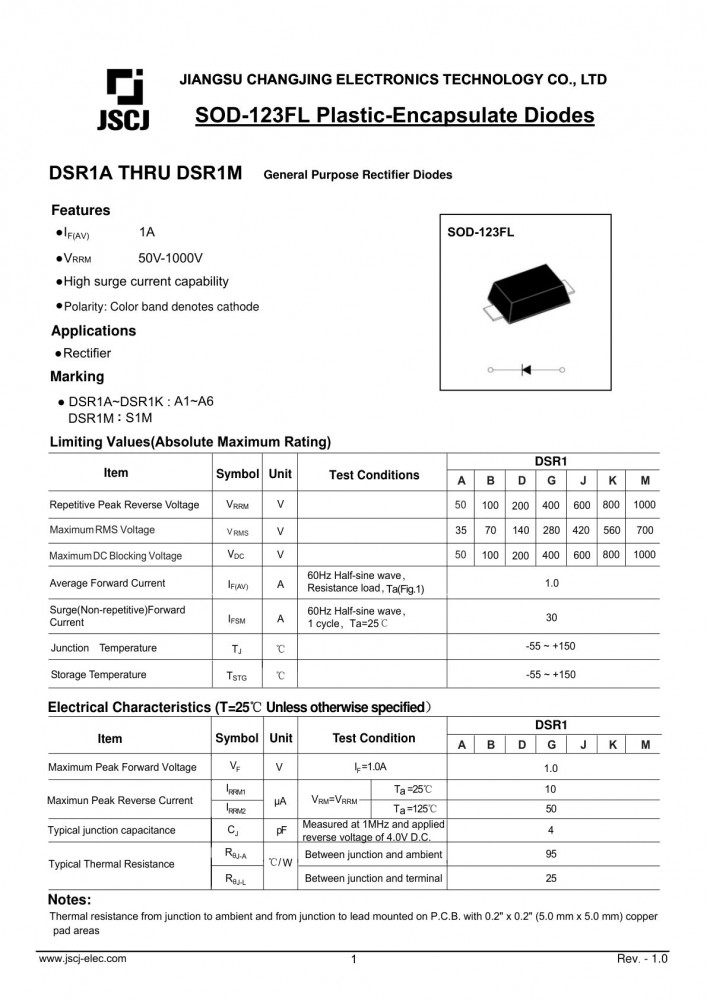 DSR1B datasheet page 1