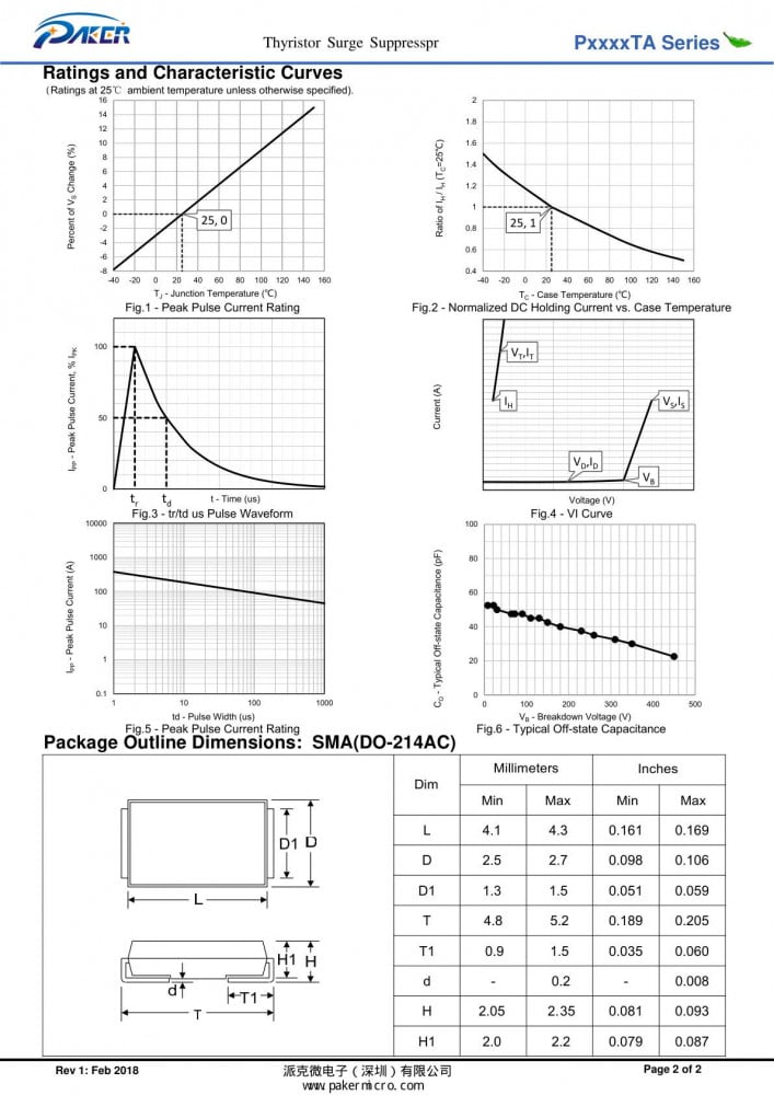 PAKER P0080TA datasheet page 2