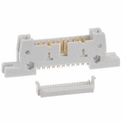 Assmann WSW Components AWG28-20/F/300 Flat Ribbon Cable for sale