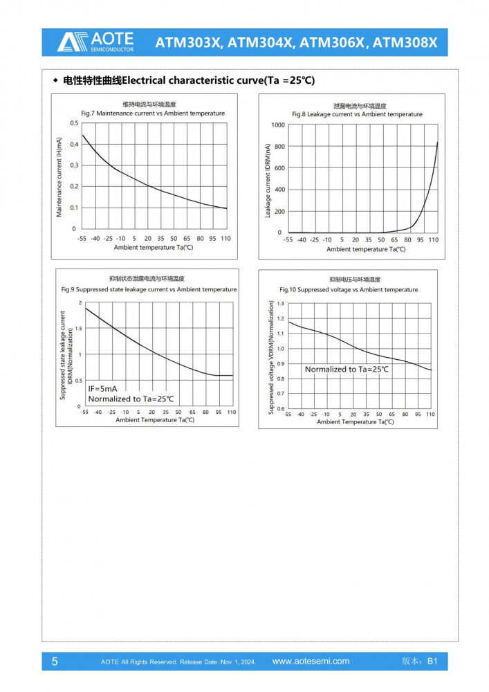 ATM3063-CuH-SE datasheet page 6