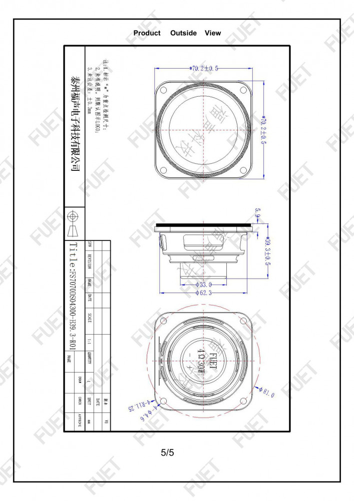 FS7070DS04300-H39.3-R01 drawing page 6
