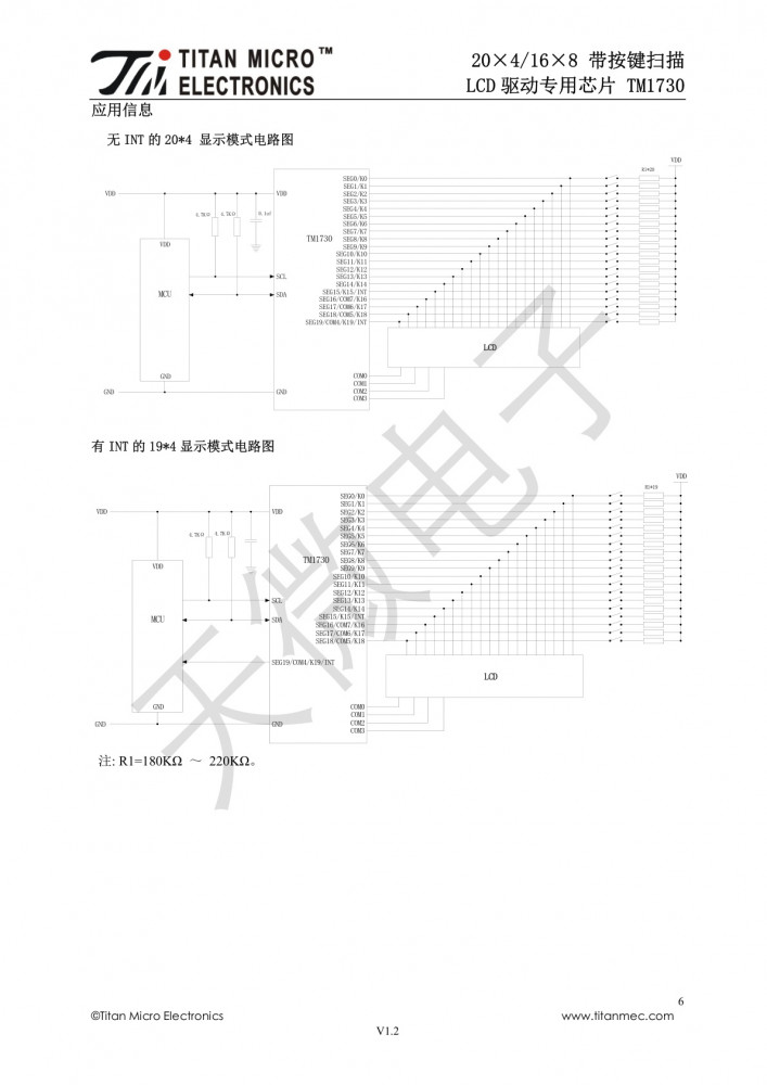 TM1730 datasheet page 6