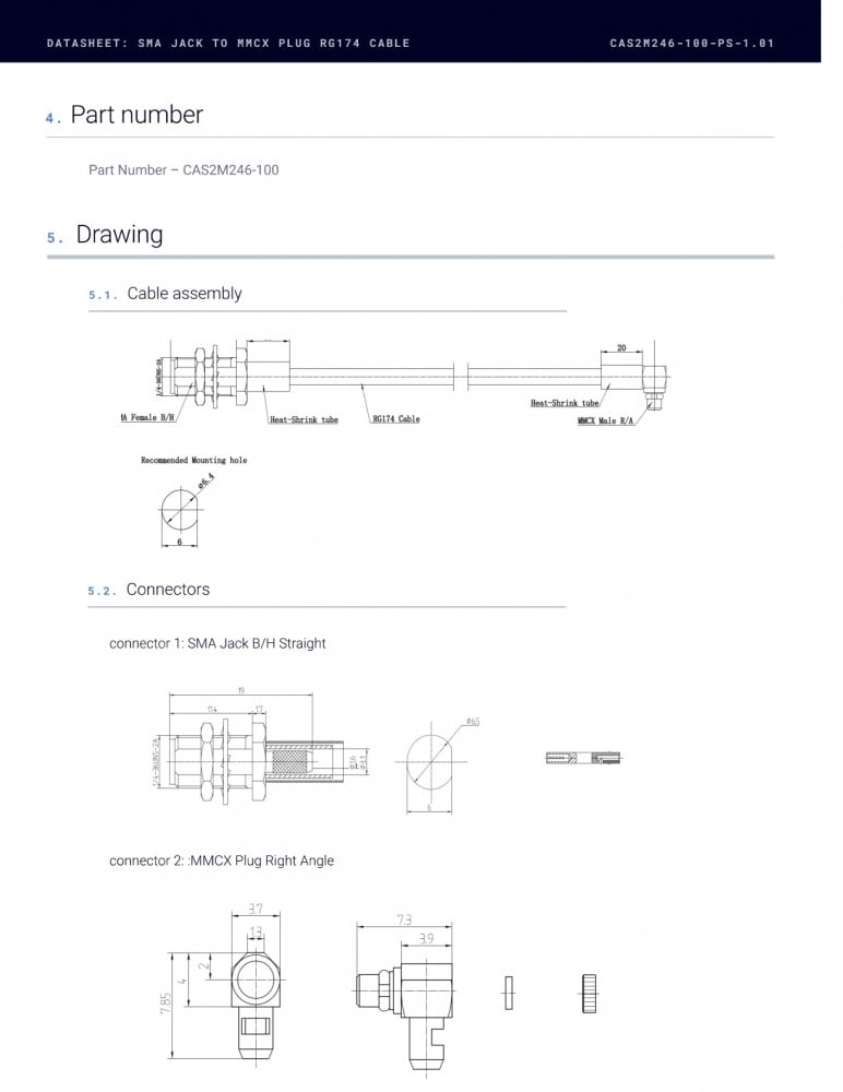 CAS2M246-100 datasheet page 7