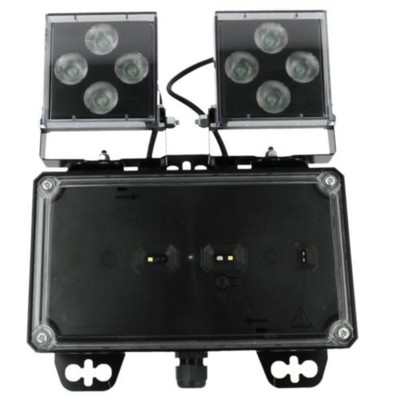 BAP RTC - Twin LEDs Spotlight Emergency Unit - 2500lm output - 1h duration - IP65 protection - Product for sale