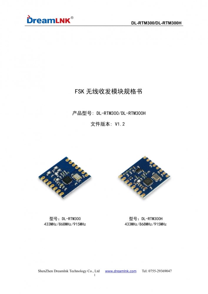 DL-RTM300 datasheet page 1