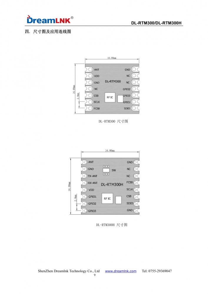 DL-RTM300 datasheet page 9